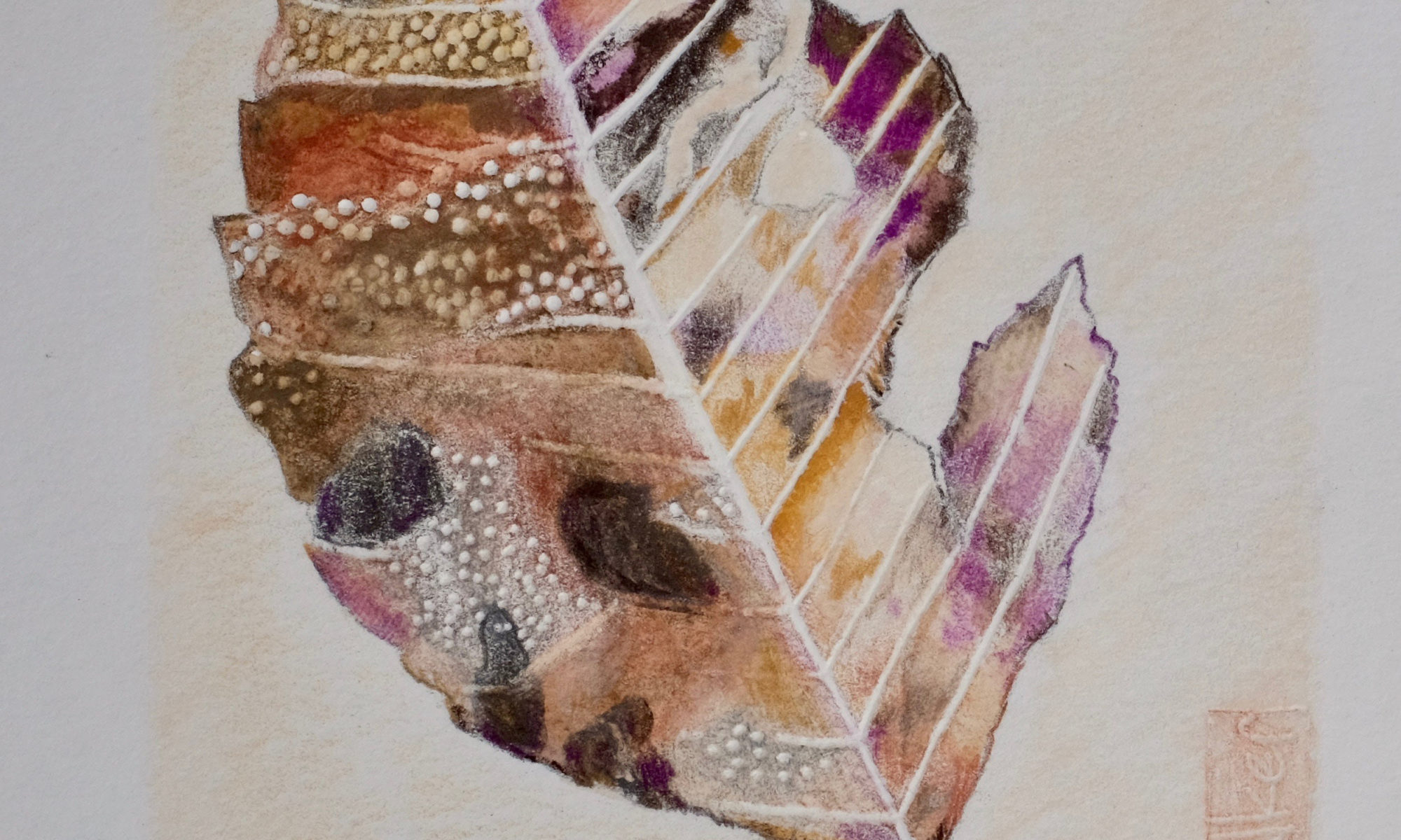 Workshops: Nature Printing – Marilyn Walker Productions